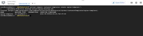 How To Create A Cluster Of Nginx Web Server With An Instance Group