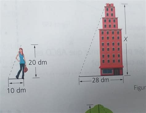 Halla El Valor De X En Cada Caso Si Se Sabe Que Son Semejantes Los