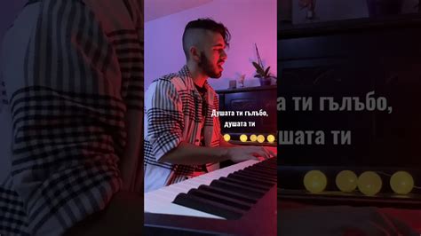 Гълъбо Миро Cover by Boris Goranov YouTube