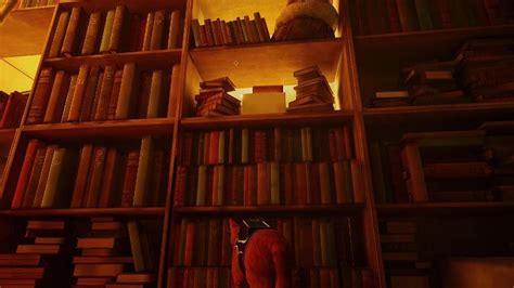 Stray How To Sleep On The Bookshop Bookshelf YouTube