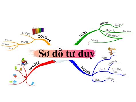 Sơ Đồ Tư Duy Là Gì Cách Vẽ Sơ Đồ Tư Duy Hiệu Quả và Một số loại sơ đồ