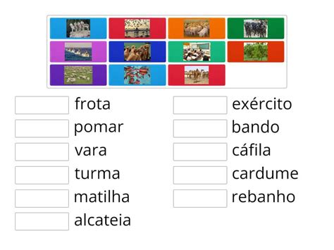 Nomes Comuns Coletivos Match Up