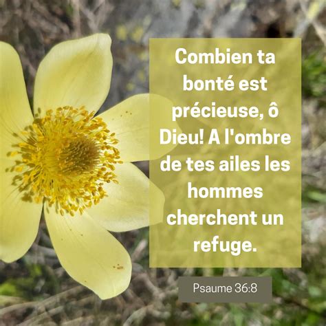 Ô Dieu combien ta bonté est précieuse 1001 versets
