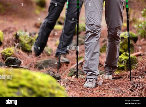 Senderismo Excursionistas Caminando En El Bosque Con Palos De