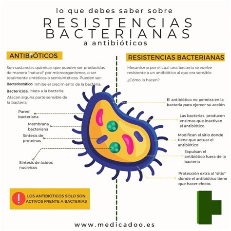 Lo que debes saber sobre las Resistencias Bacterianas a antibióticos