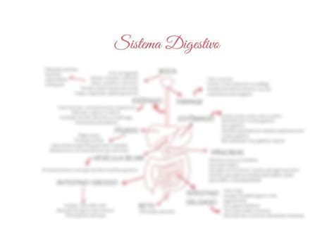 SOLUTION Mapa Mental Sistema Digest Rio Studypool