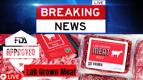 Breaking News FDA Approves Lab Grown Meat Unveiling Potential Health