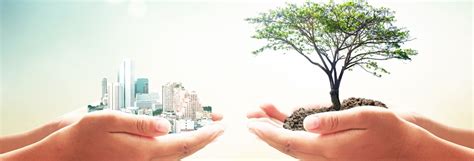 Empreendedorismo sustentável Portal