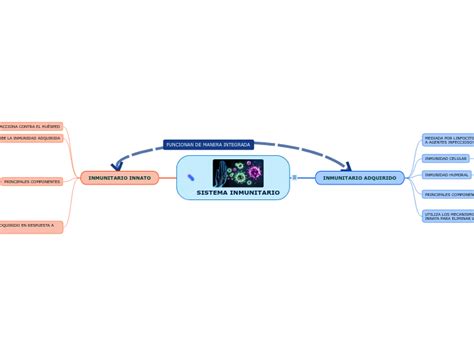 SISTEMA INMUNITARIO Mind Map