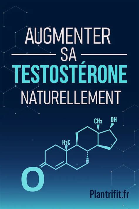 Testostérone Homme Comment Augmenter Sa Testostérone Plantrifit