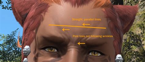 Dawntrail Benchmark Male Miqo Te Face Feedback