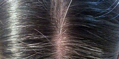 Come Coprire I Capelli Bianchi Senza Tinta In Modo Naturale Artofit