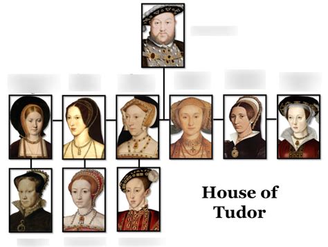 Houses Of Europe Review Diagram Quizlet