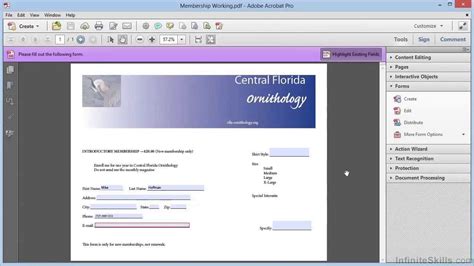 adobe acrobat xi creating forms tutorial creating radio buttons and checkboxes youtube