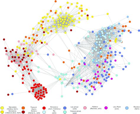 population network of p margaritifera individuals created using the download scientific