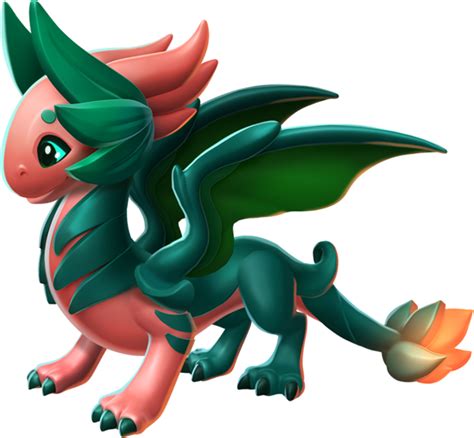 File Pink Bloom Dragon Png Dragon Mania Legends DML Wiki