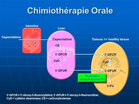 Chimiothérapie Adjuvante des Cancers Colorectaux ppt télécharger
