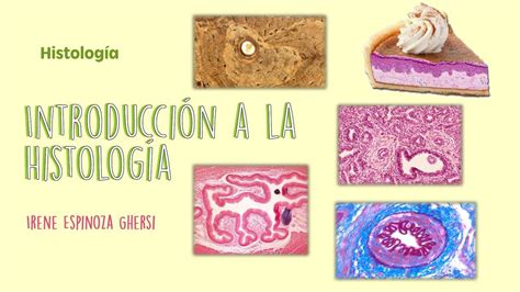 Introducción a la Histología Irene Espinoza Ghersi uDocz