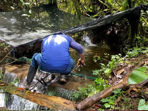 Día internacional de las Reservas de Biosfera