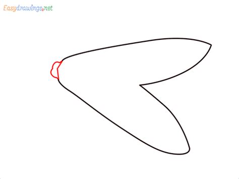 How To Draw A Moth Step By Step Easy Phase