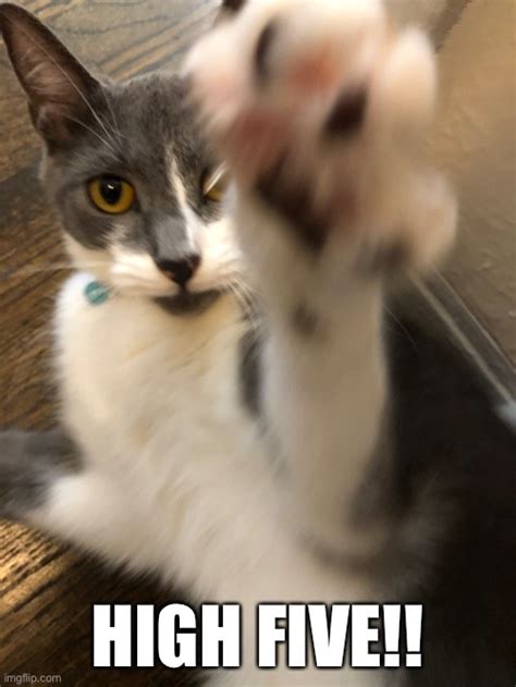 High Five Imgflip