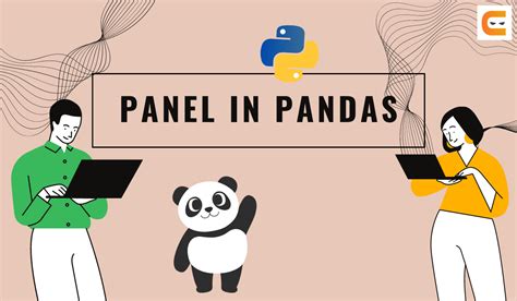 panel in pandas coding ninjas