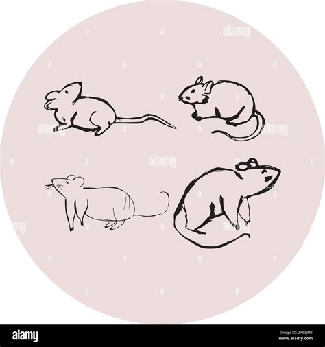 Hand Sketch Illustration Of Rats Hand Drawn Mouses Stock Vector Image