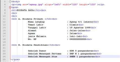 Cara Membuat Biodata Sederhana Di Html Belajar Komputer