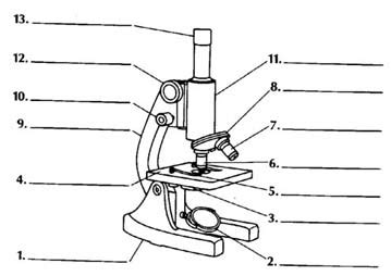 Compound Light Microscope Without Labels