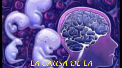 ASPECTOS BIOLÓGICOS DE LA SALUD MENTAL YouTube