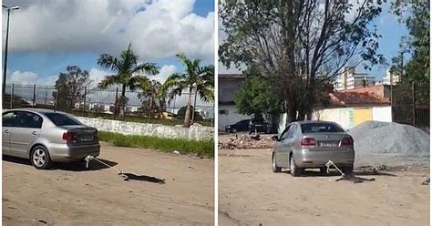 Vídeo mostra flagrante de motorista arrastando cão amarrado em carro