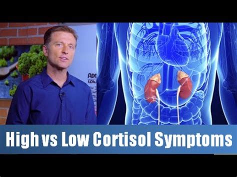 High Vs Low Cortisol Symptoms Dr Berg