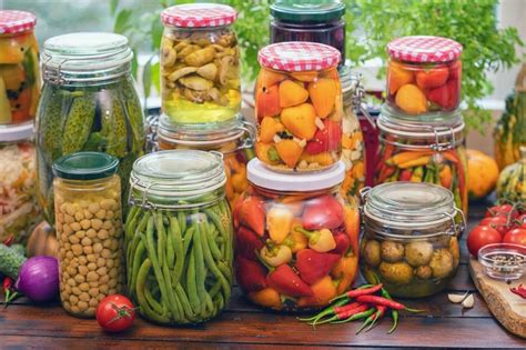 MENGUNGKAP KEAJAIBAN FERMENTASI PROSES MANFAAT DAN BERBAGAI JENIS
