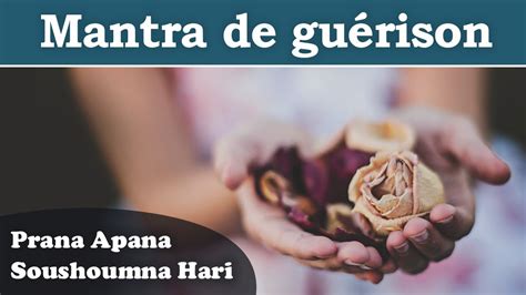 Mantra de Guérison Méditation Prana Apana Soushoumna Hari YouTube