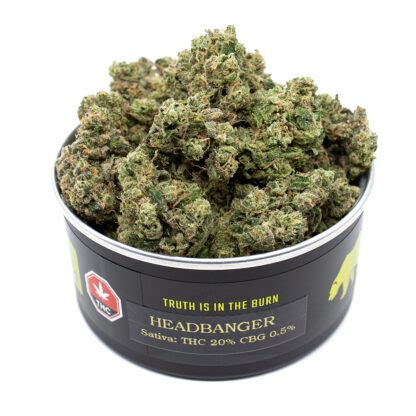 Buy Skookum Headbanger 14g QUAD Online In Canada At Grass Chief