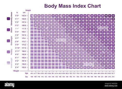 Body Mass Index BMI Chart BMI Calculator To Checking Your Body Mass