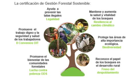 La Importancia De La Conservaci N De Especies Un Compromiso Con La
