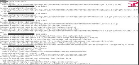 Fixing Issues With Python Setup Py Bdist Wheel Execution