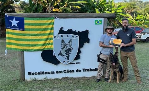 Polícia Civil adquire cão farejador para auxílio no combate ao tráfico