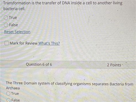 Solved Transformation Is The Transfer Of Dna Inside A Cell Chegg