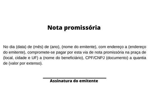 Nota promissória como funciona tipos e como preencher