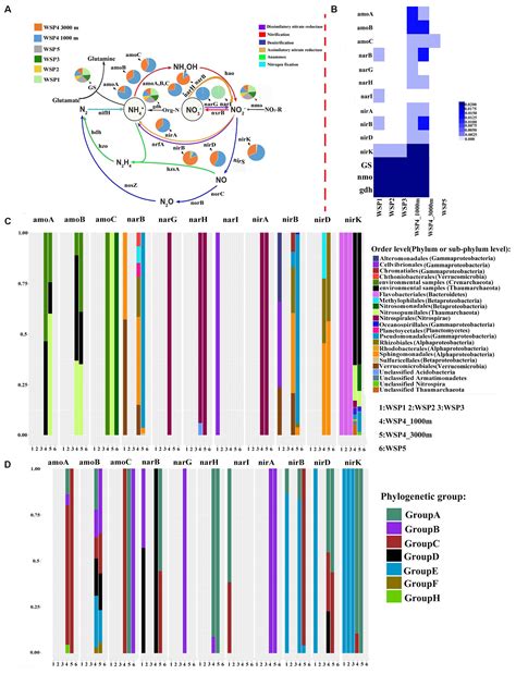 Frontiers Metagenomic Insights Into The Microbial Community And