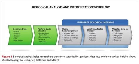 Biological Analysis And Interpretation For Improved Research Outcomes
