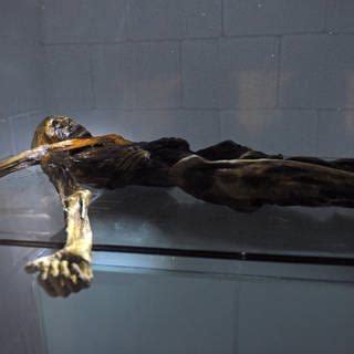 Eismumie Ötzi hatte dunkle Haut und eine Glatze SWR Wissen