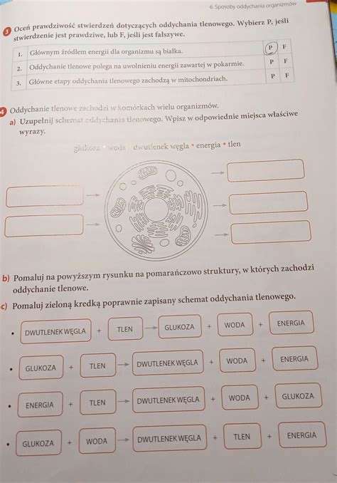 klasa 5 pls całą stronę na dzisiaj daje naj Brainly pl