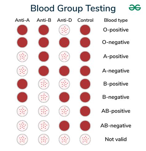 Blood Group Testing Kit Principle And Procedure Geeksforgeeks