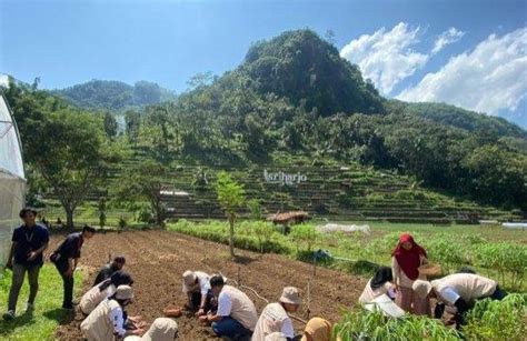 PPA Dan JIEP Sinergi Dukung Pengembangan Desa Wisata Di Yogyakarta