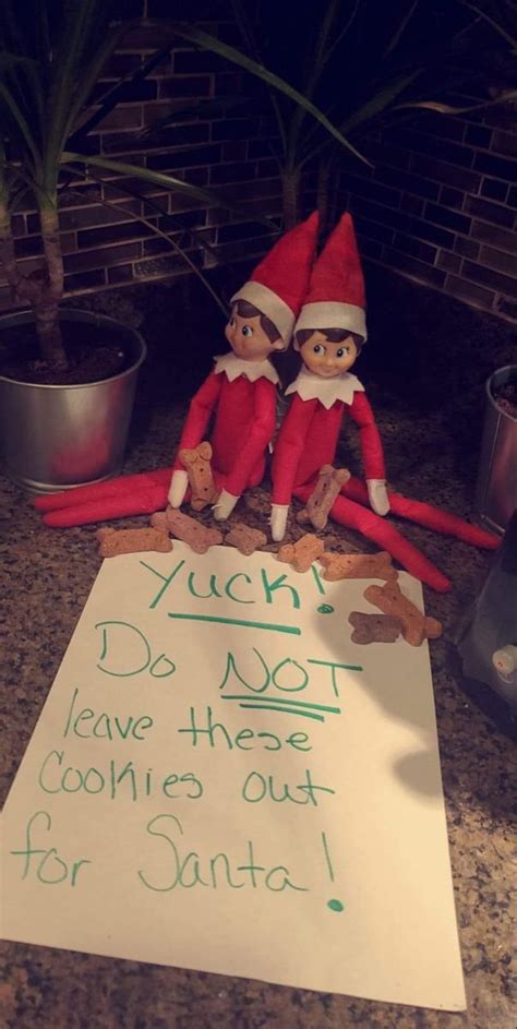 Two Elfs Sitting On Top Of A Piece Of Paper Next To A Potted Plant