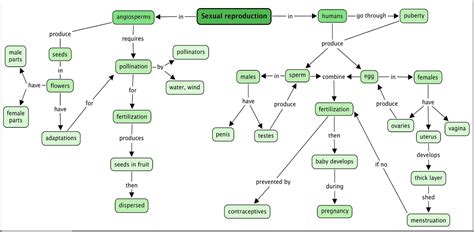 Mind Map Lesson Science Cbse Class