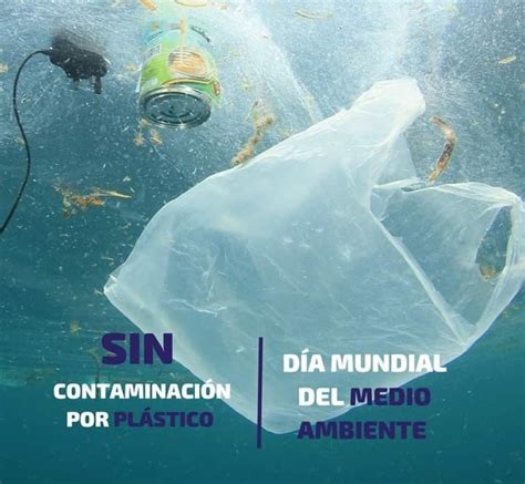 D A Mundial Del Medio Ambiente Sin Contaminaci N Por Pl Sticos
